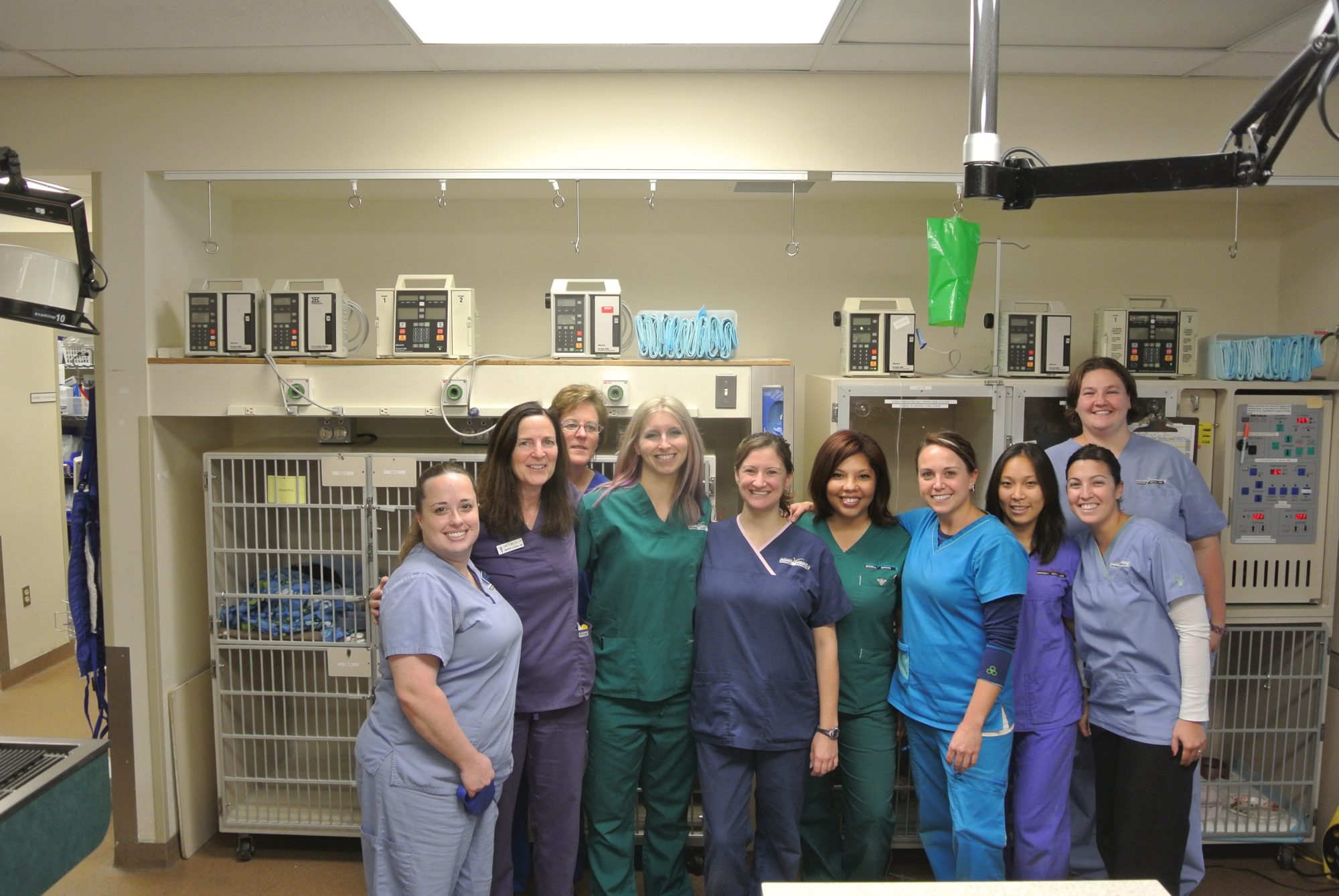 OVRS | Oakland Veterinary Referral Services | Oakland Veterinary ...