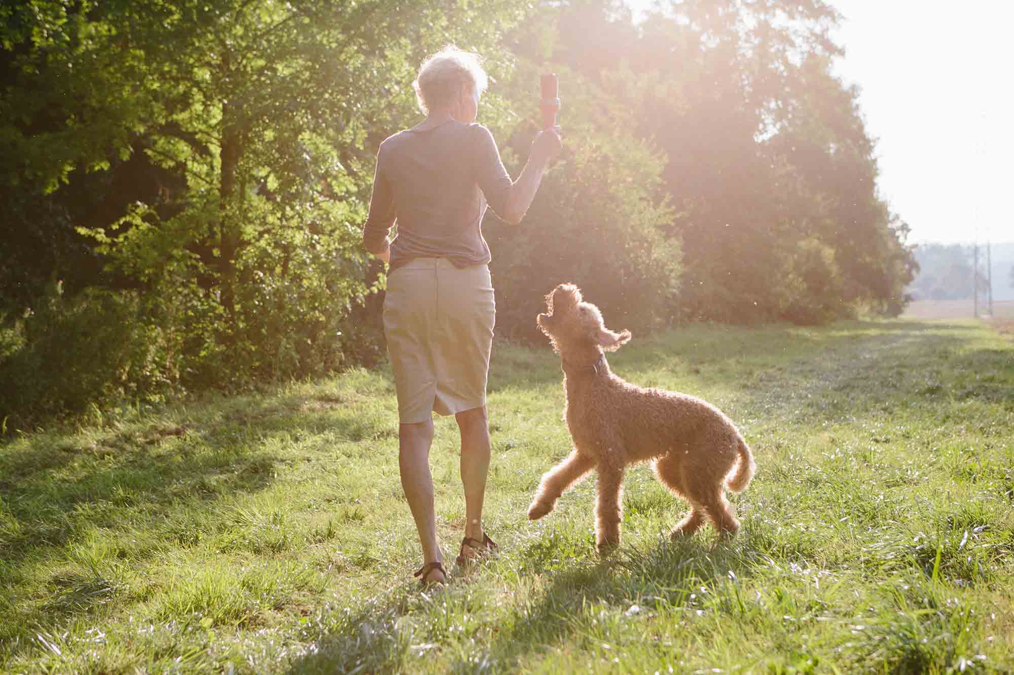 Growing Old Gracefully: Helping Senior Dogs Enjoy Their Golden Years ...