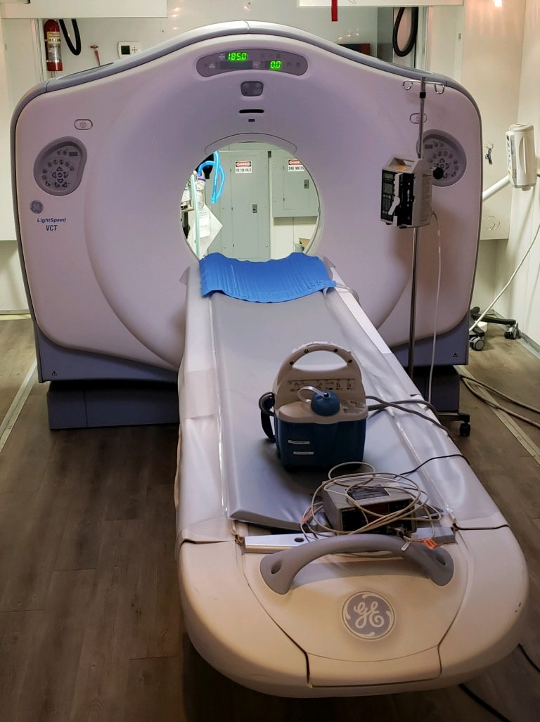 3D Diagnostics: The Advantages of Veterinary CT Scans for Pets ...