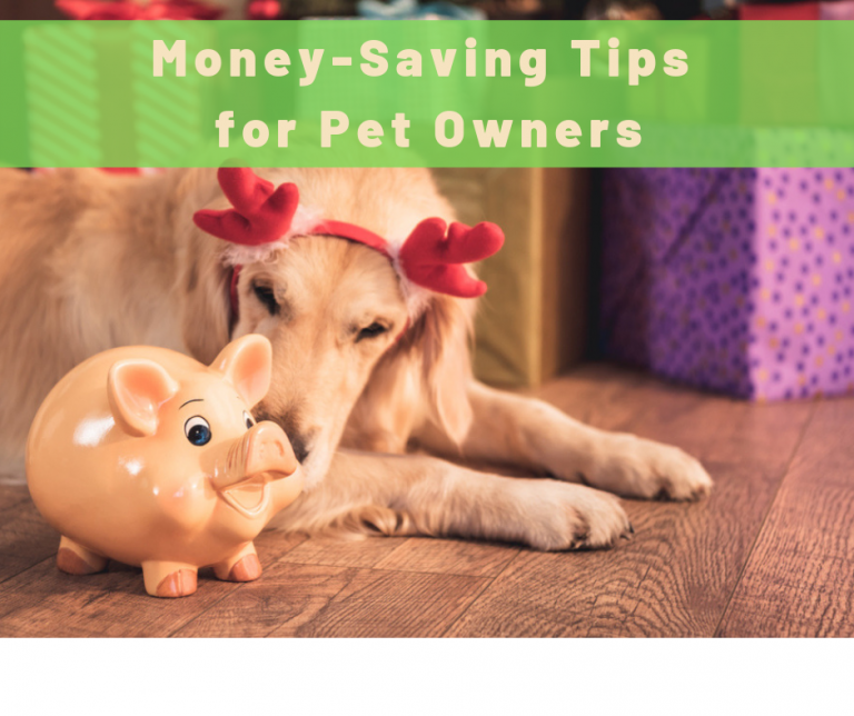 Frugal Four-Legged: Money Saving Tips for Pet Owners | Oakland ...