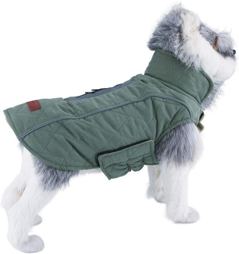 Cozy and Dry: The Best Dog Coats and Rain Jackets | Oakland Veterinary ... Cozy and Dry: The Best Dog Coats and Rain Jackets | Oakland Veterinary ...