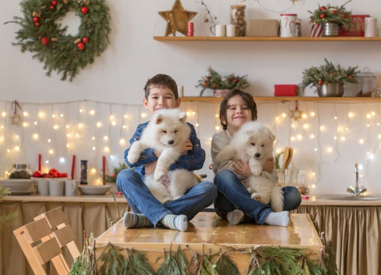 Creating New Traditions: 8 Fun Ways to Celebrate the Holidays with Pets ...