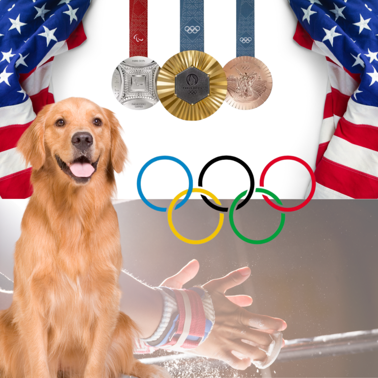 Beacon: Olympic Gymnastics Team Emotional Support Dog | Oakland ...